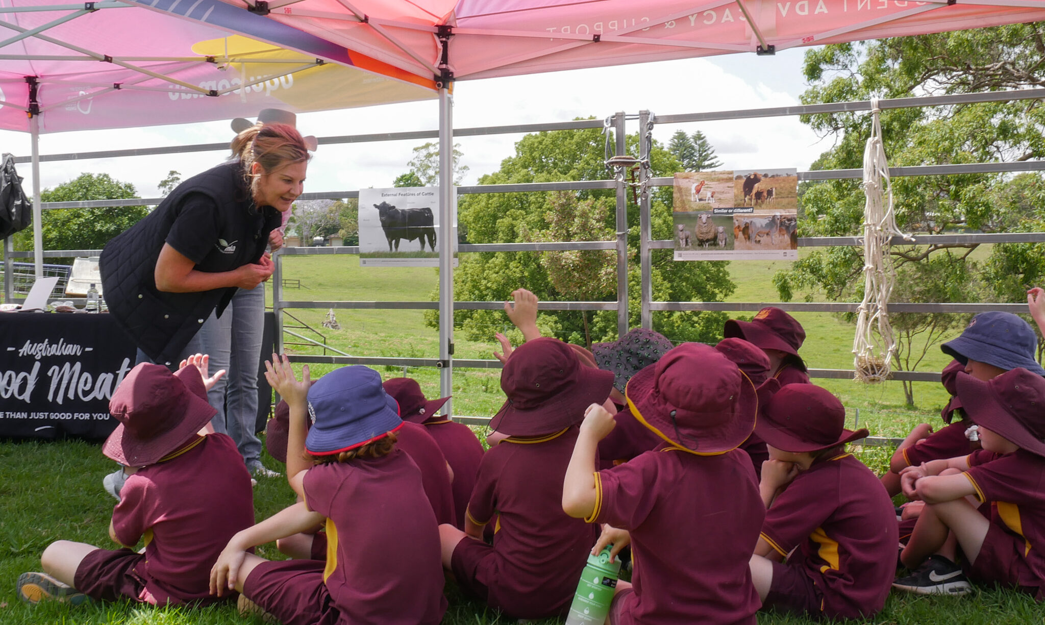 Teaching students about red meat production – Education Review